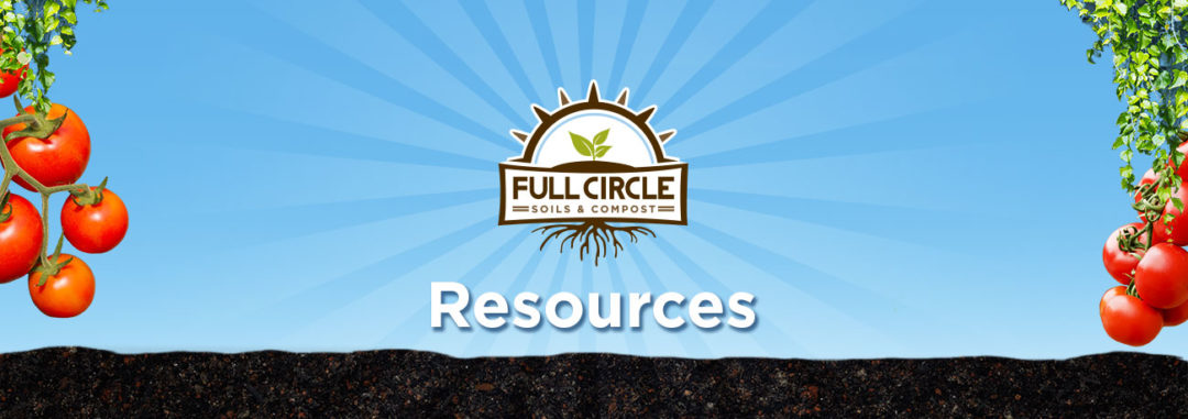 Clean Your Green - Full Circle